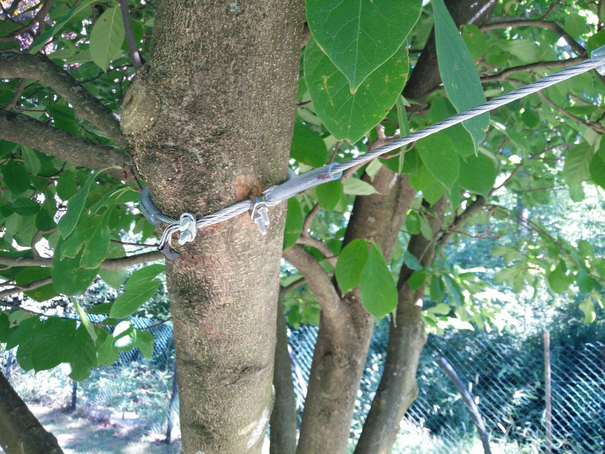 Backyard Zip Line : 11 Steps (with Pictures) - Instructables