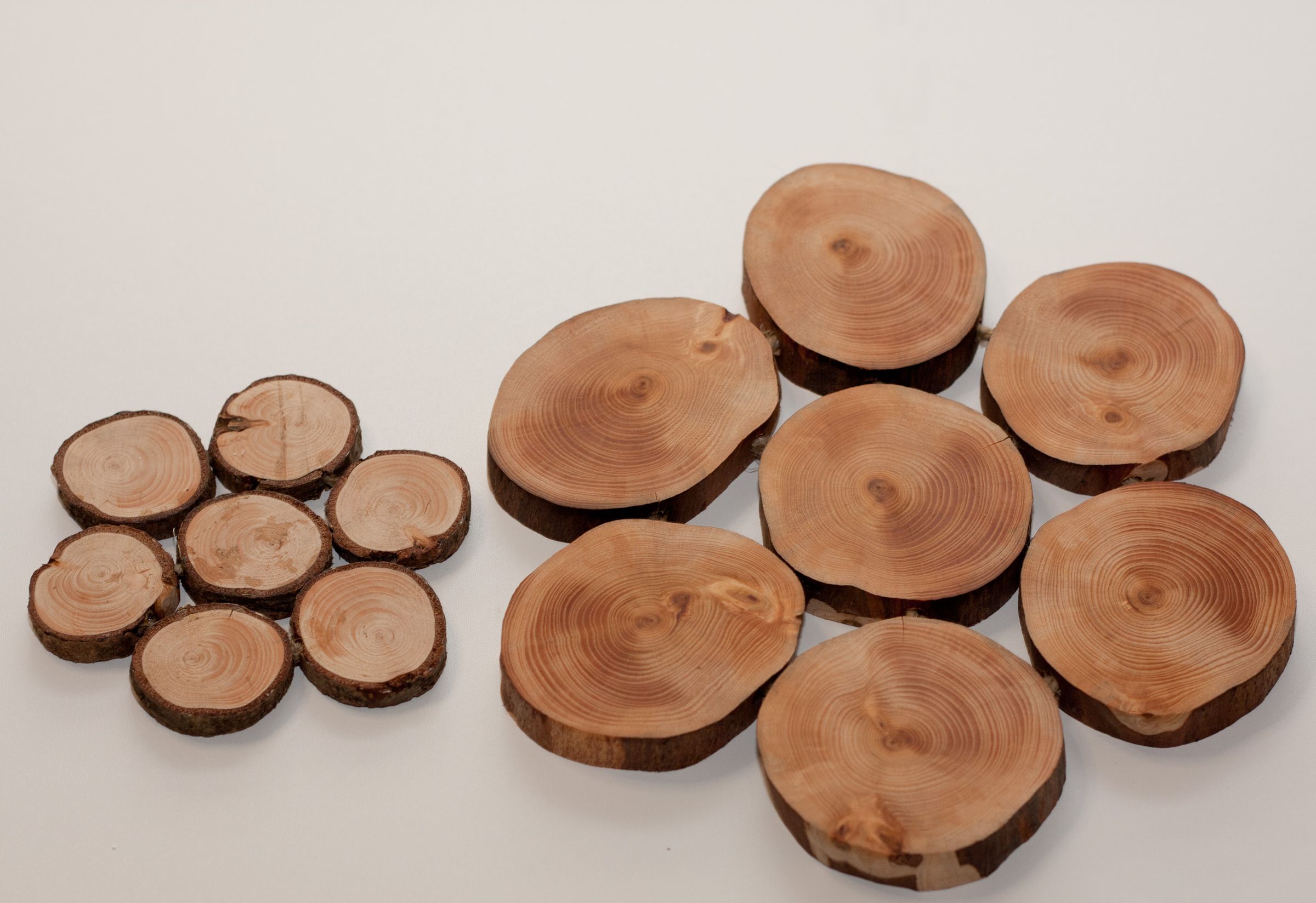 Wooden Branch Trivet : 10 Steps (with Pictures) - Instructables