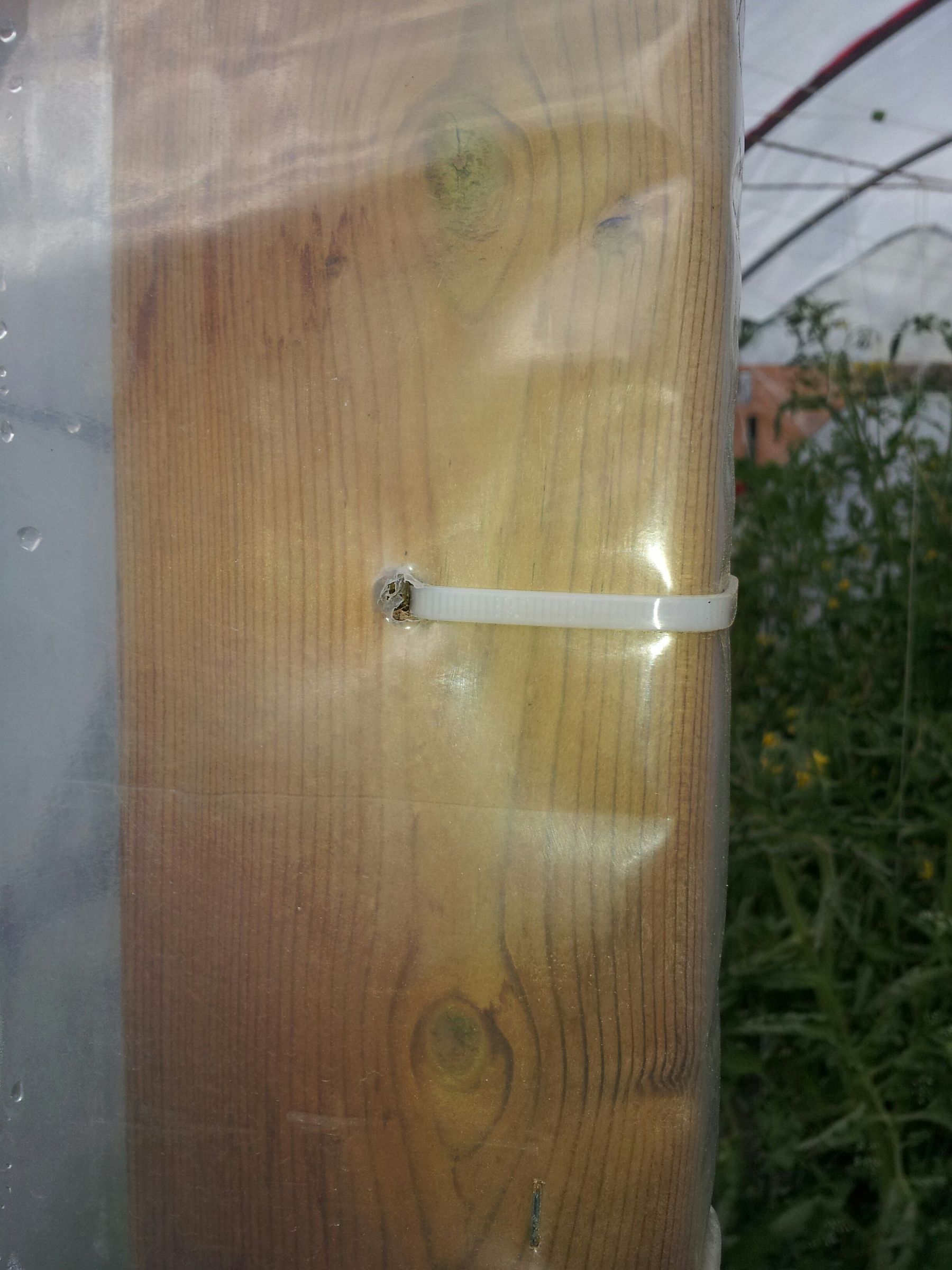 A Greenhouse for the North : 8 Steps (with Pictures) - Instructables