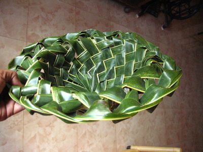 How to Make a Coconut Palm Hat : 16 Steps (with Pictures) - Instructables