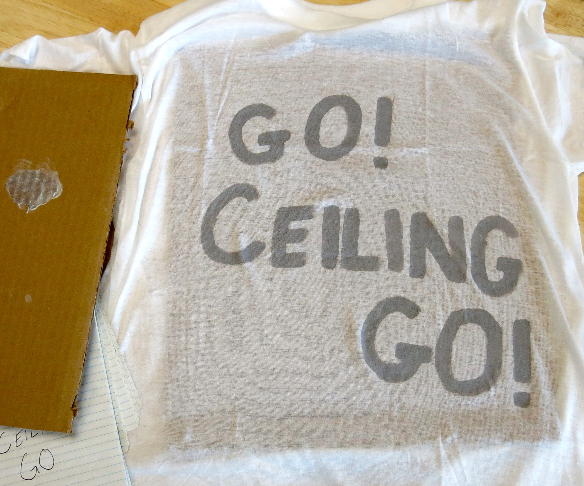 Last Minute Ceiling Fan Pun Costume : 4 Steps (with Pictures ...