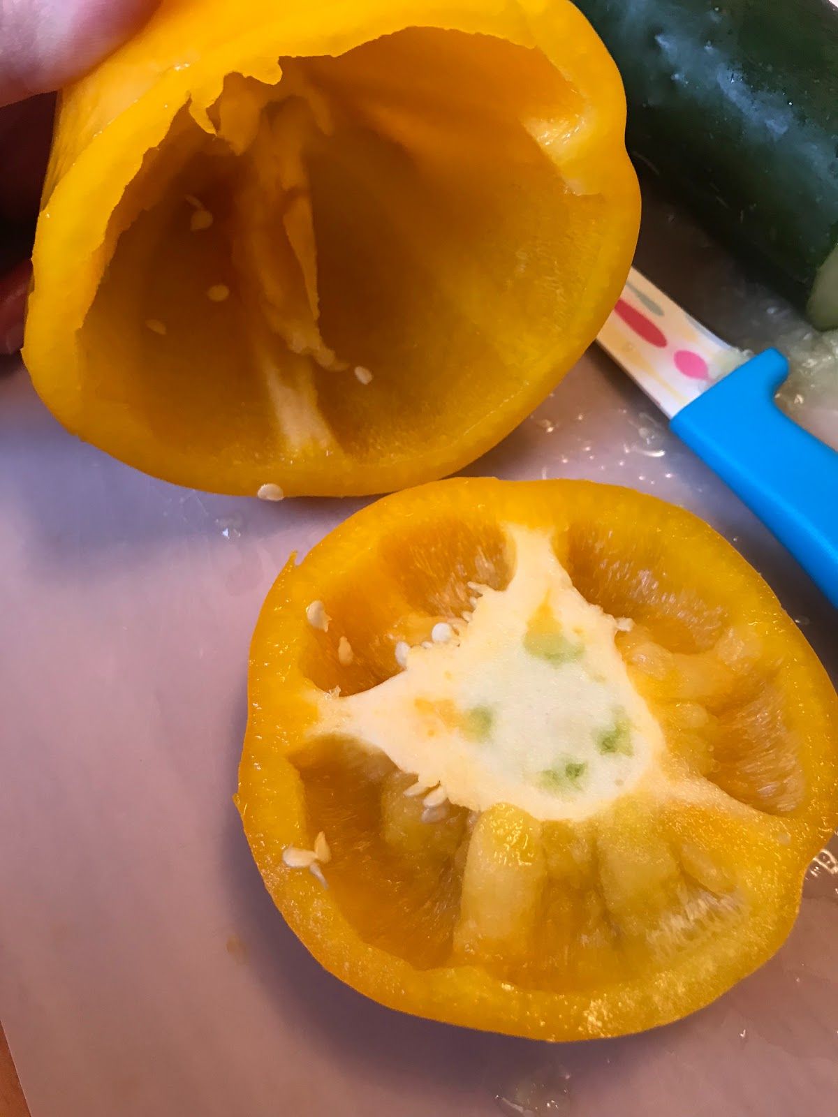 Vegetable Instrument : 14 Steps - Instructables