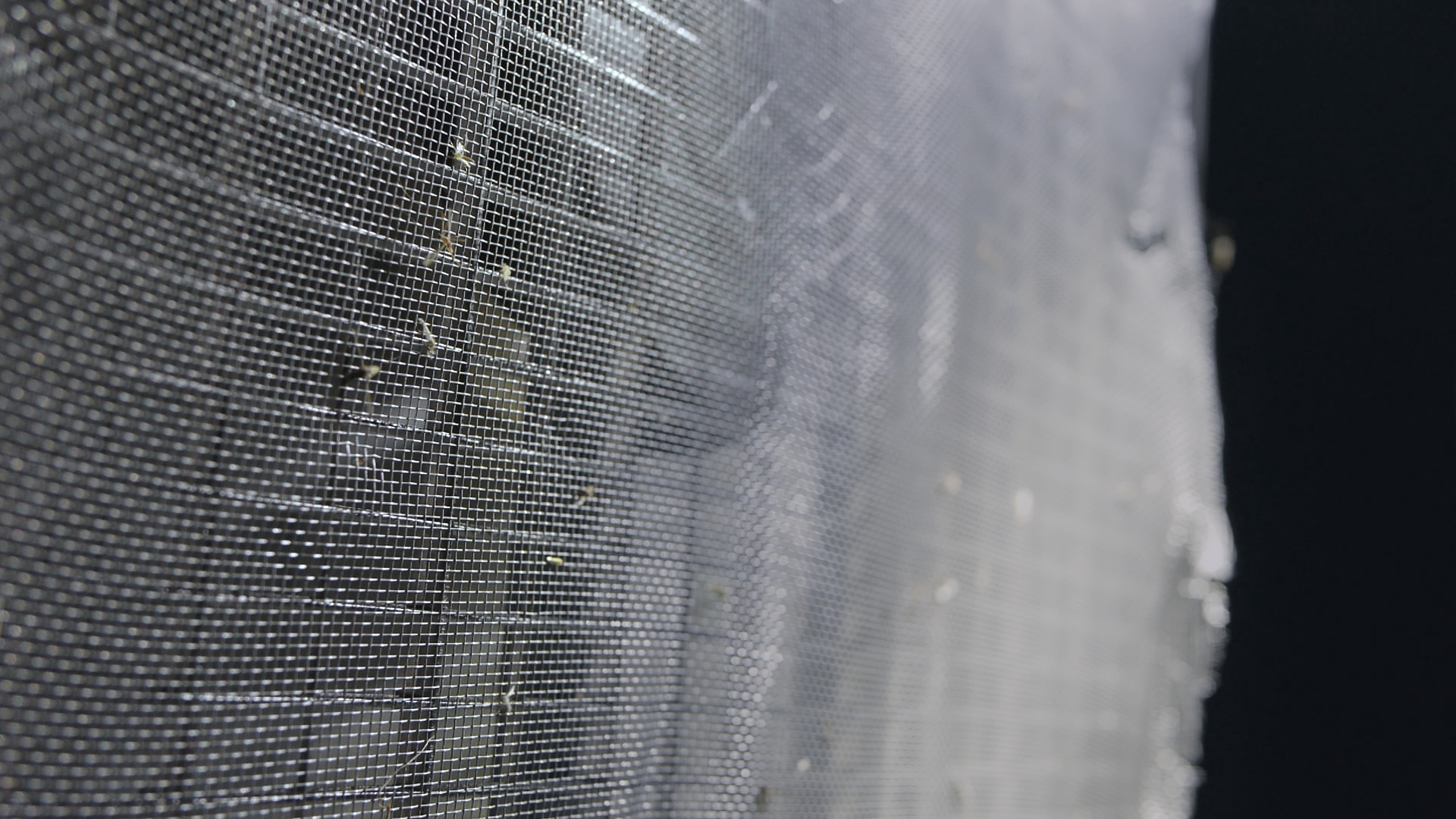 How to Get Rid of Mosquitoes With a Fan & Window Screen : 4 Steps (with ...