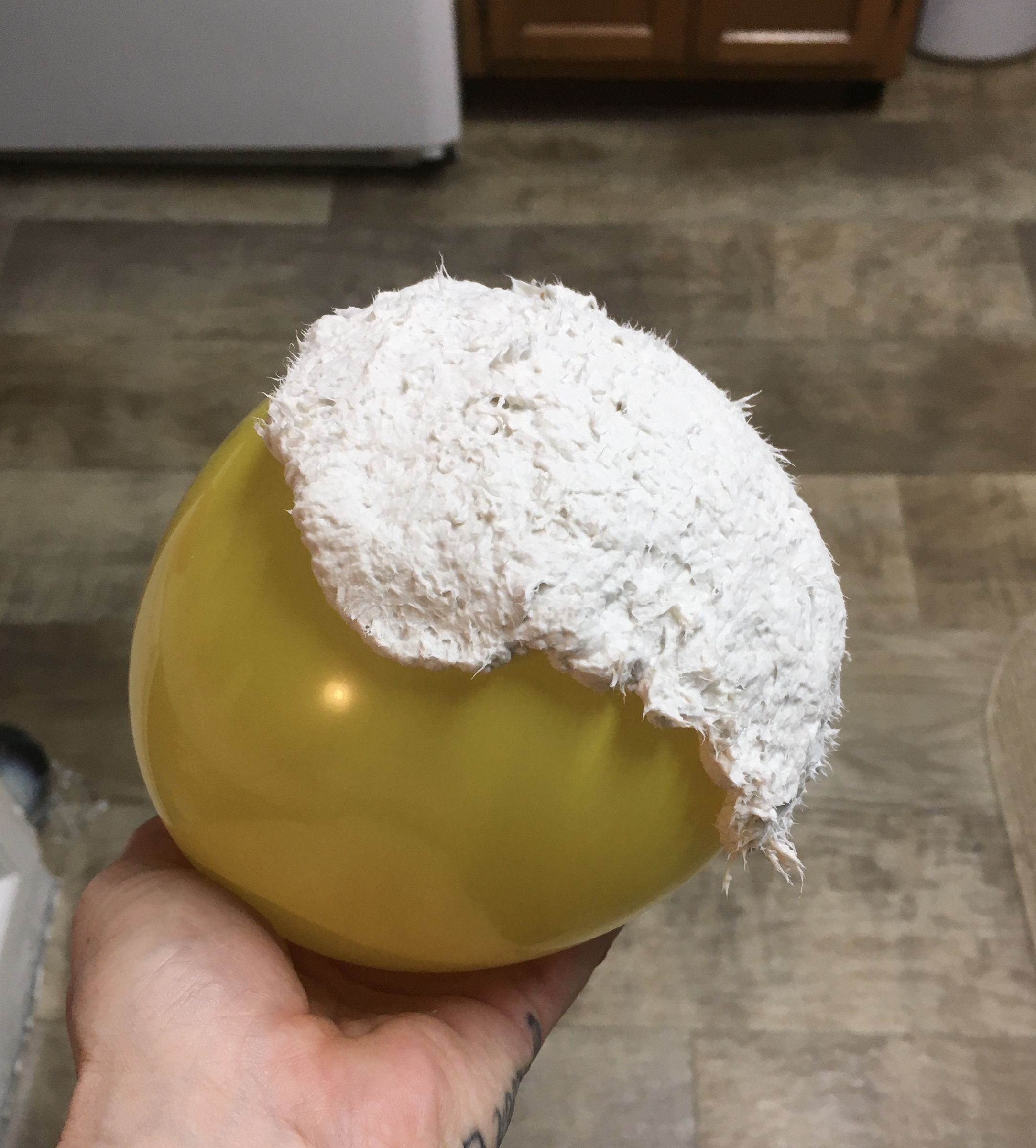 Barnacle Sculptures--and an Experiment With 2 Kinds of Homemade Paper ...