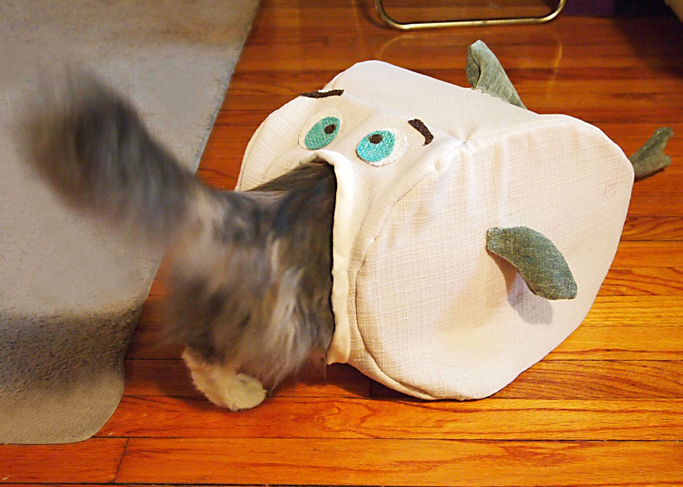 How to Sew a Fish Cat House : 8 Steps (with Pictures) - Instructables