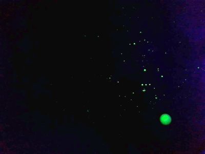 How to Paint a Star/night-sky Themed Nursery That Will Last Until High ...