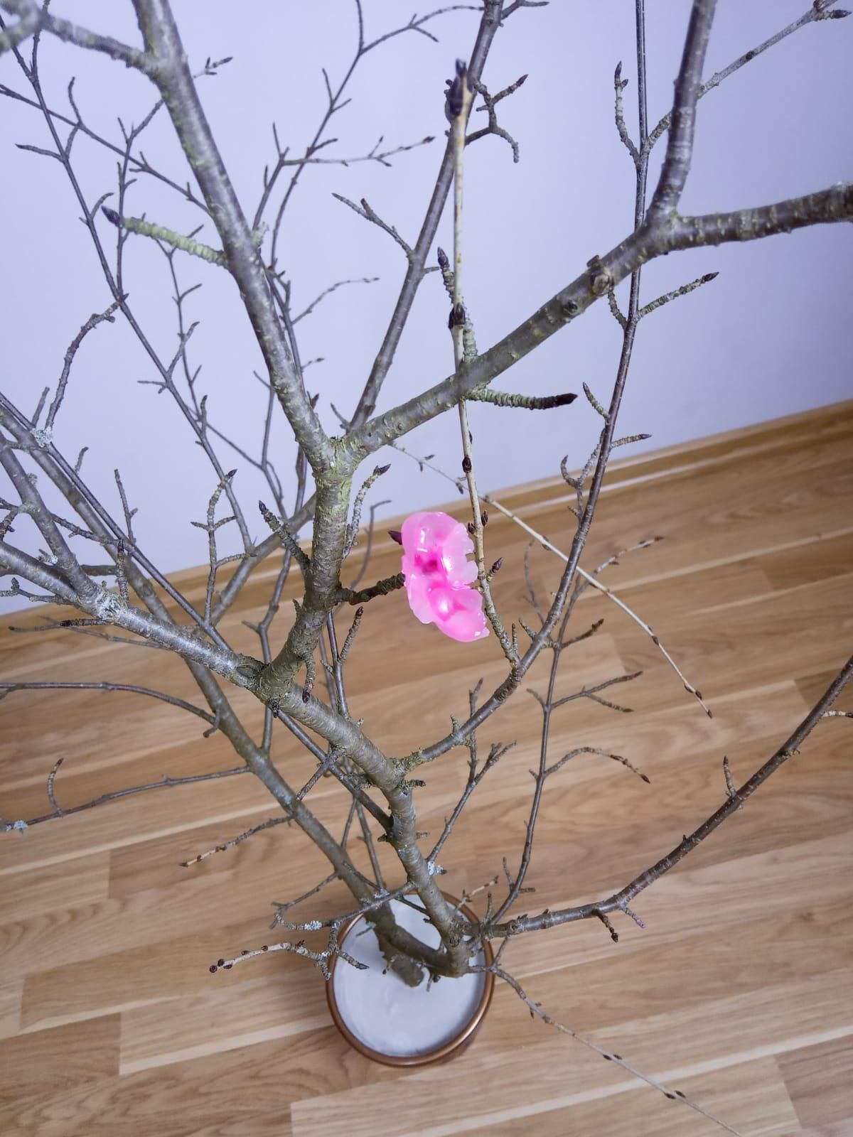 DIY Sakura Tree : 5 Steps (with Pictures) - Instructables