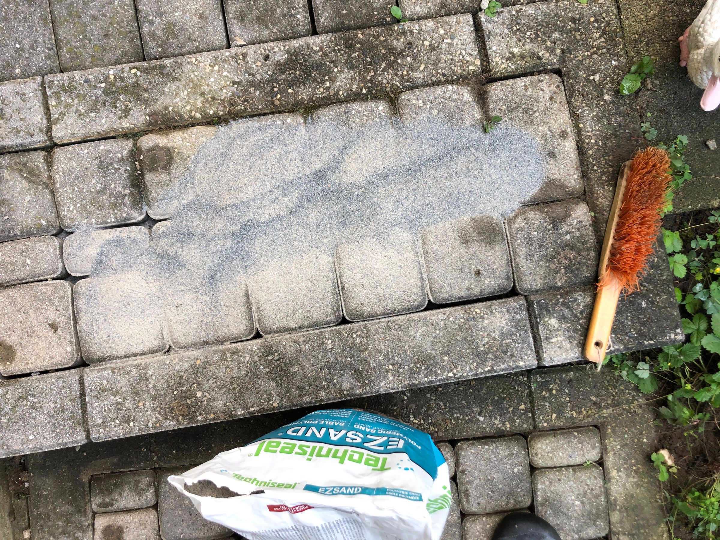 Repair Sunken Pavers : 6 Steps (with Pictures) - Instructables