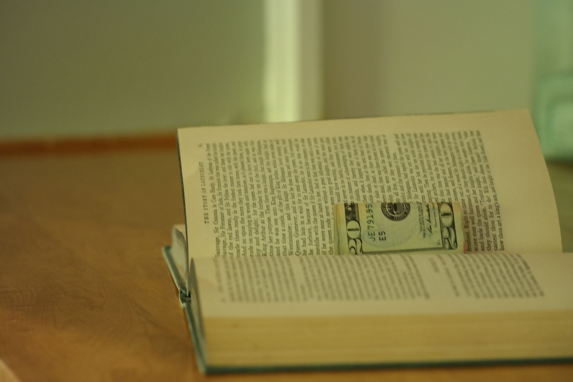 10 Simple Places to Hide Your Money : 12 Steps (with Pictures ...