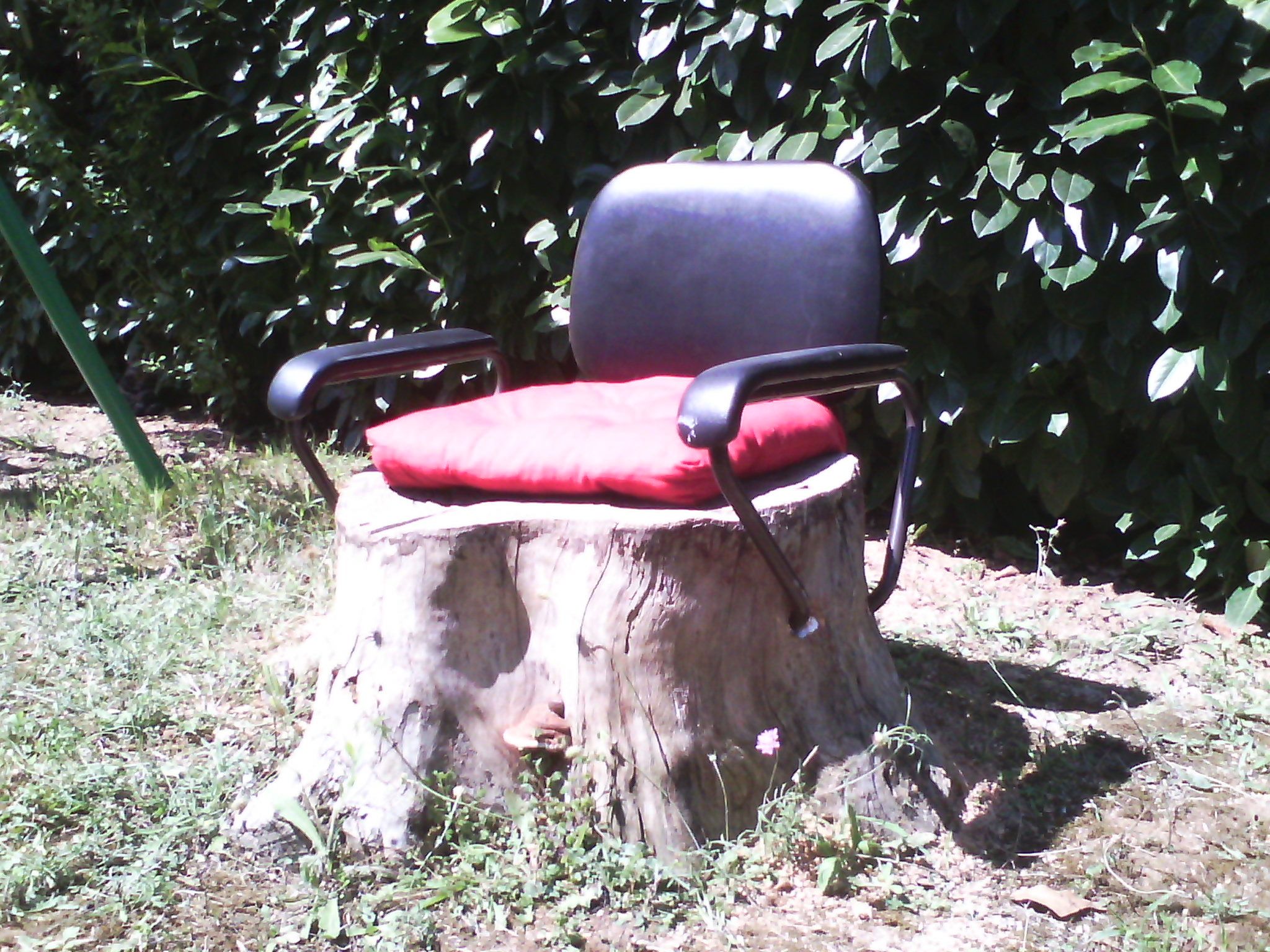 StumpChair : 6 Steps (with Pictures) - Instructables