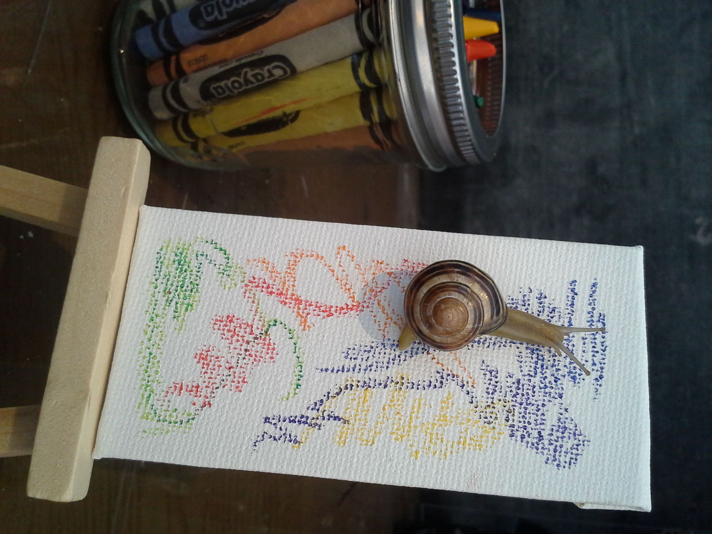 Snail Art: Making Art With Snails : 8 Steps (with Pictures) - Instructables