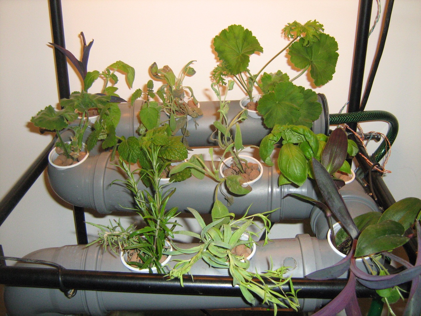 IoT NFT Aquaponic System Controler With WebApp (Intel Edison & Node.js ...