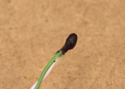 Electric Match : 6 Steps - Instructables