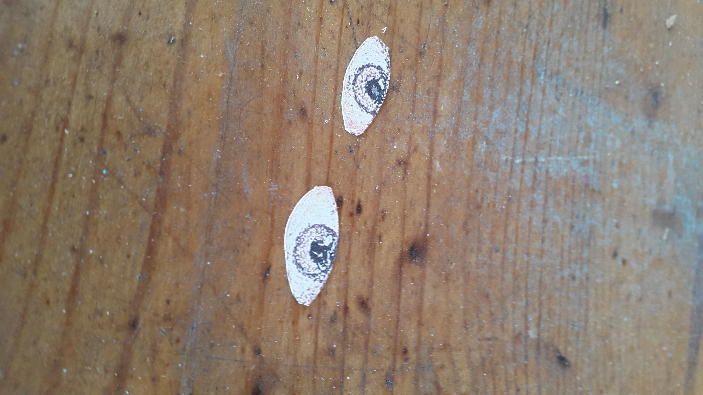 Low-Tech Moving Eyes Portrait (Rembrandt) : 11 Steps (with Pictures ...
