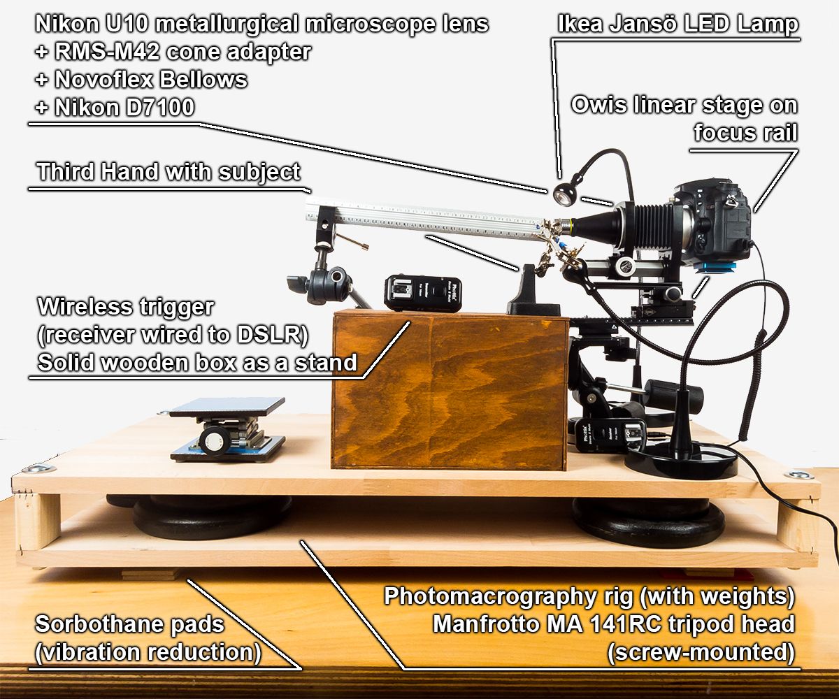 DSLR Macro Photography: a Comprehensive Overview : 22 Steps (with ...