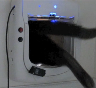 Pet Curfew: an Arduino Controlled Pet Door : 7 Steps (with Pictures ...