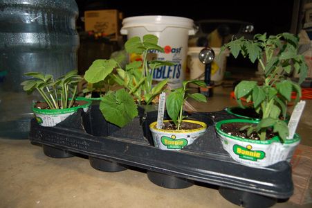 Small NFT Hydroponics System : 11 Steps (with Pictures) - Instructables