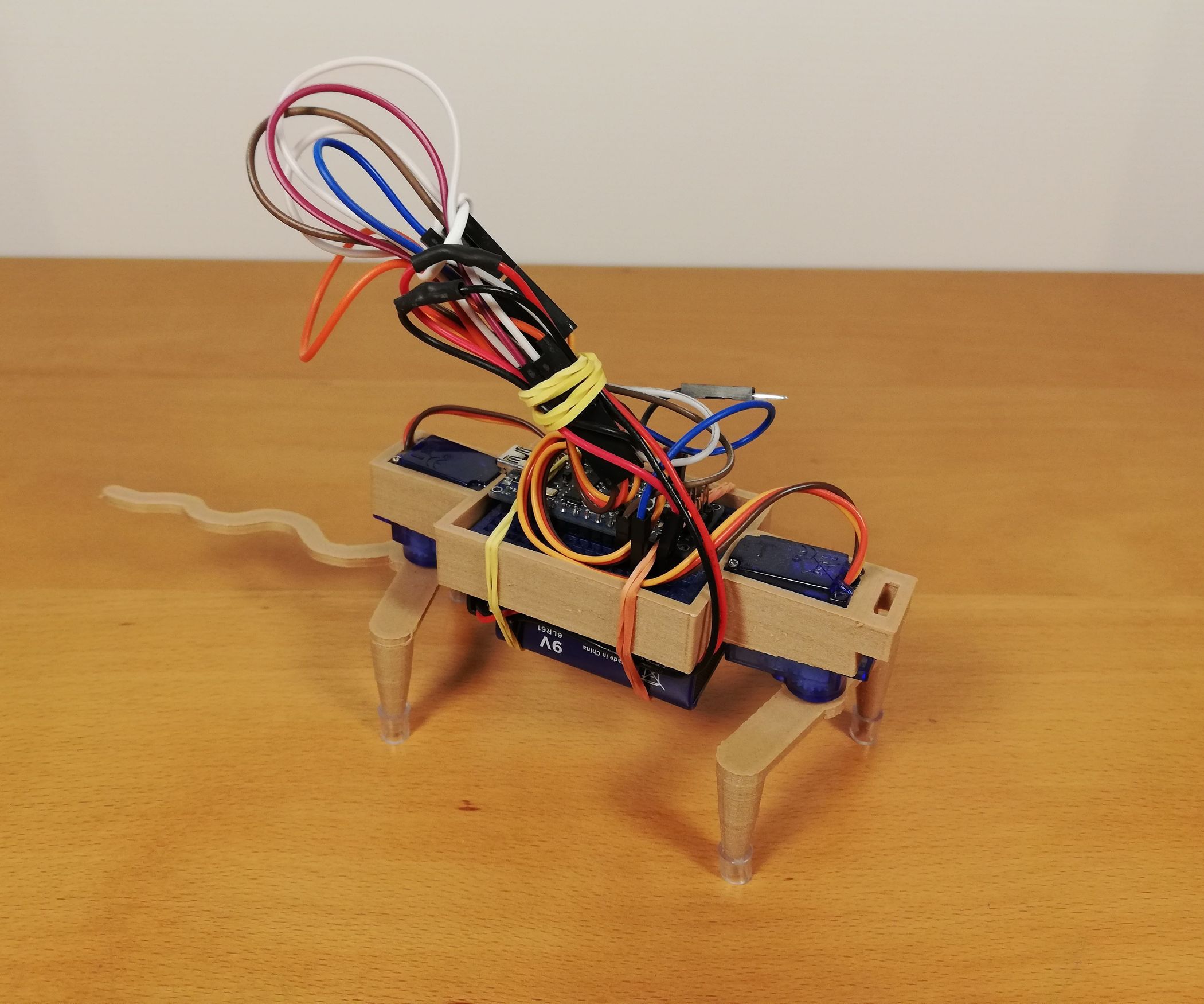 Robotic Rat : 8 Steps (with Pictures) - Instructables