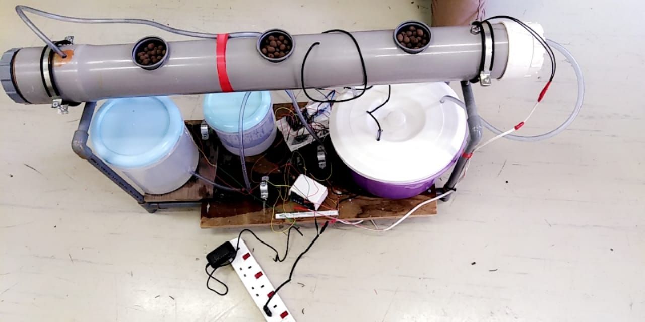 Automated Hydroponic System : 4 Steps - Instructables