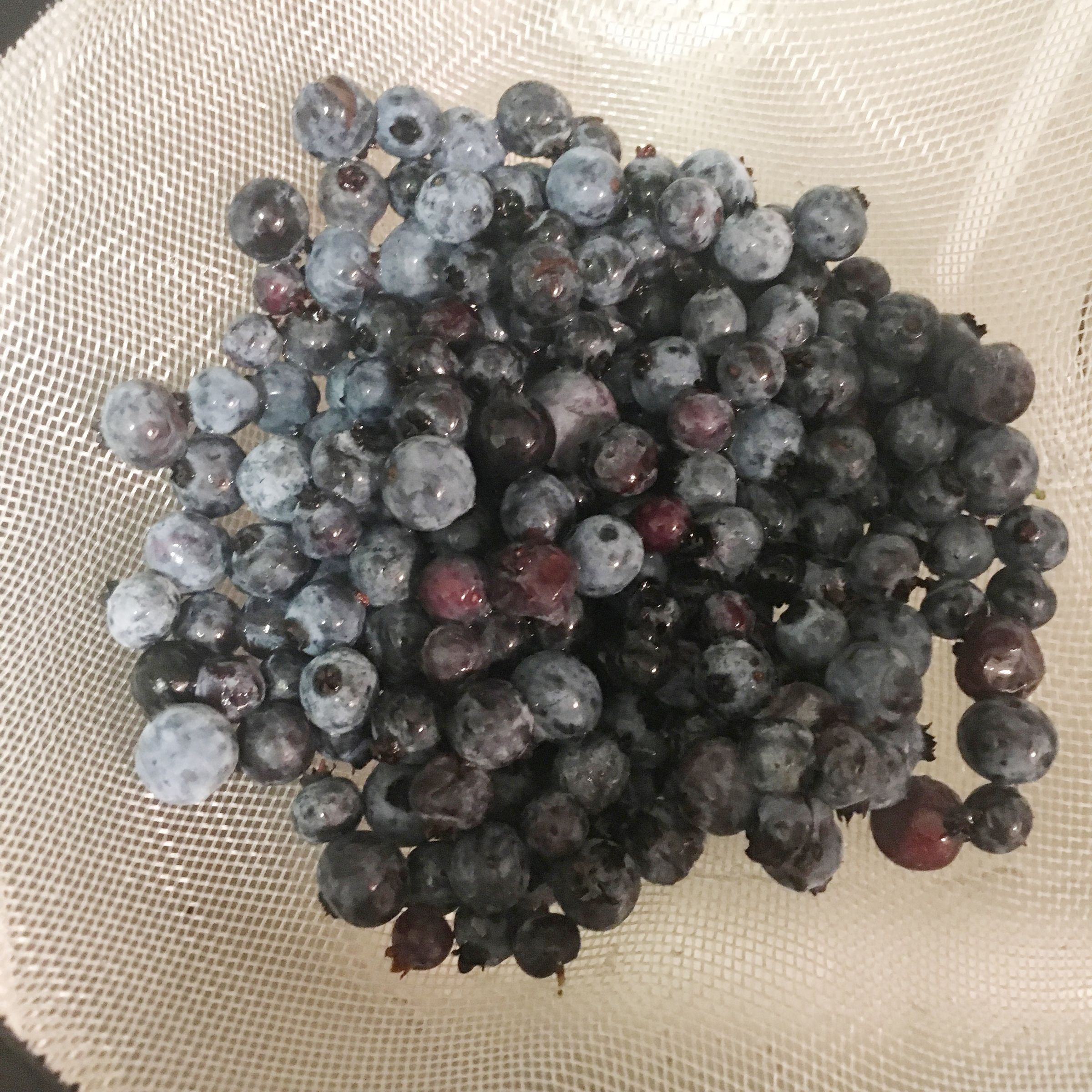 1 Pint Blueberry Jam : 5 Steps - Instructables