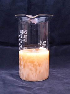 Crystallization of Homemade Sodium Acetate : 16 Steps (with Pictures ...