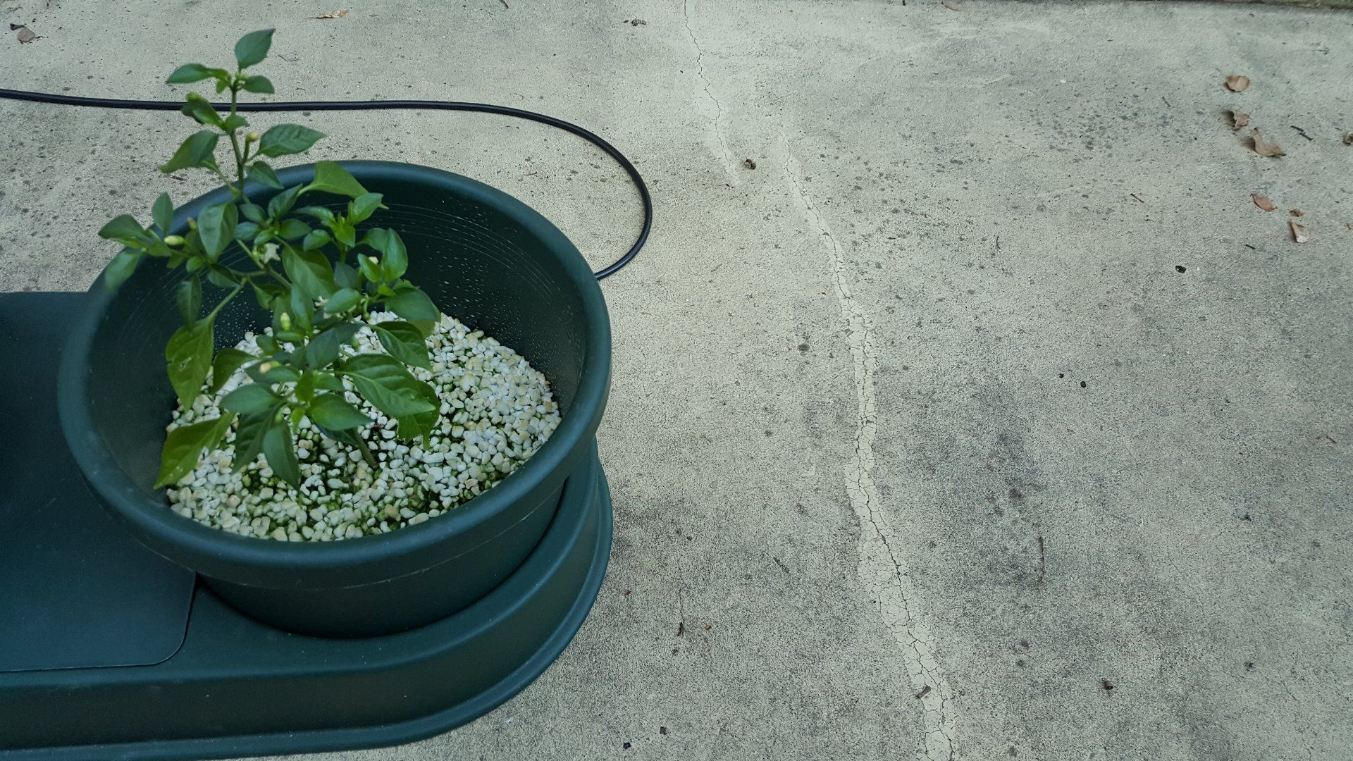 How to Set Up an Autopot Hydroponics Kit : 6 Steps - Instructables