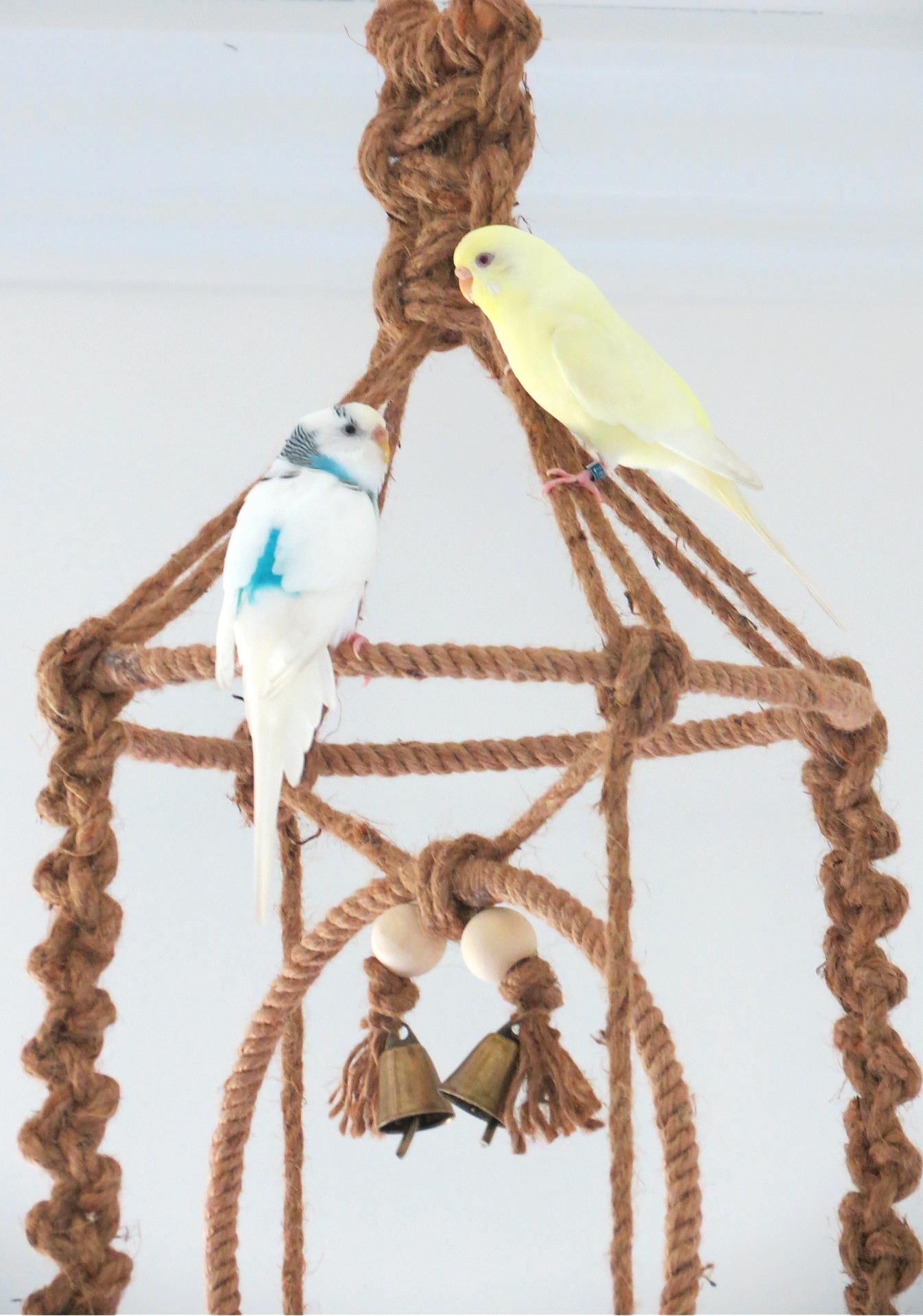 Macrame Bird Perch : 11 Steps (with Pictures) - Instructables