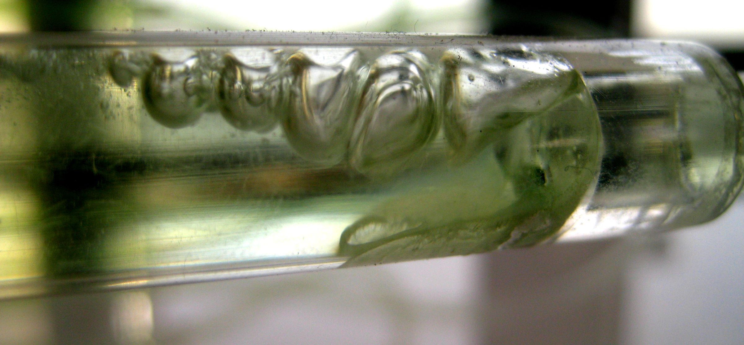 The Algae Experiment: How to Build Your Own Algae Photo-bioreactor ...