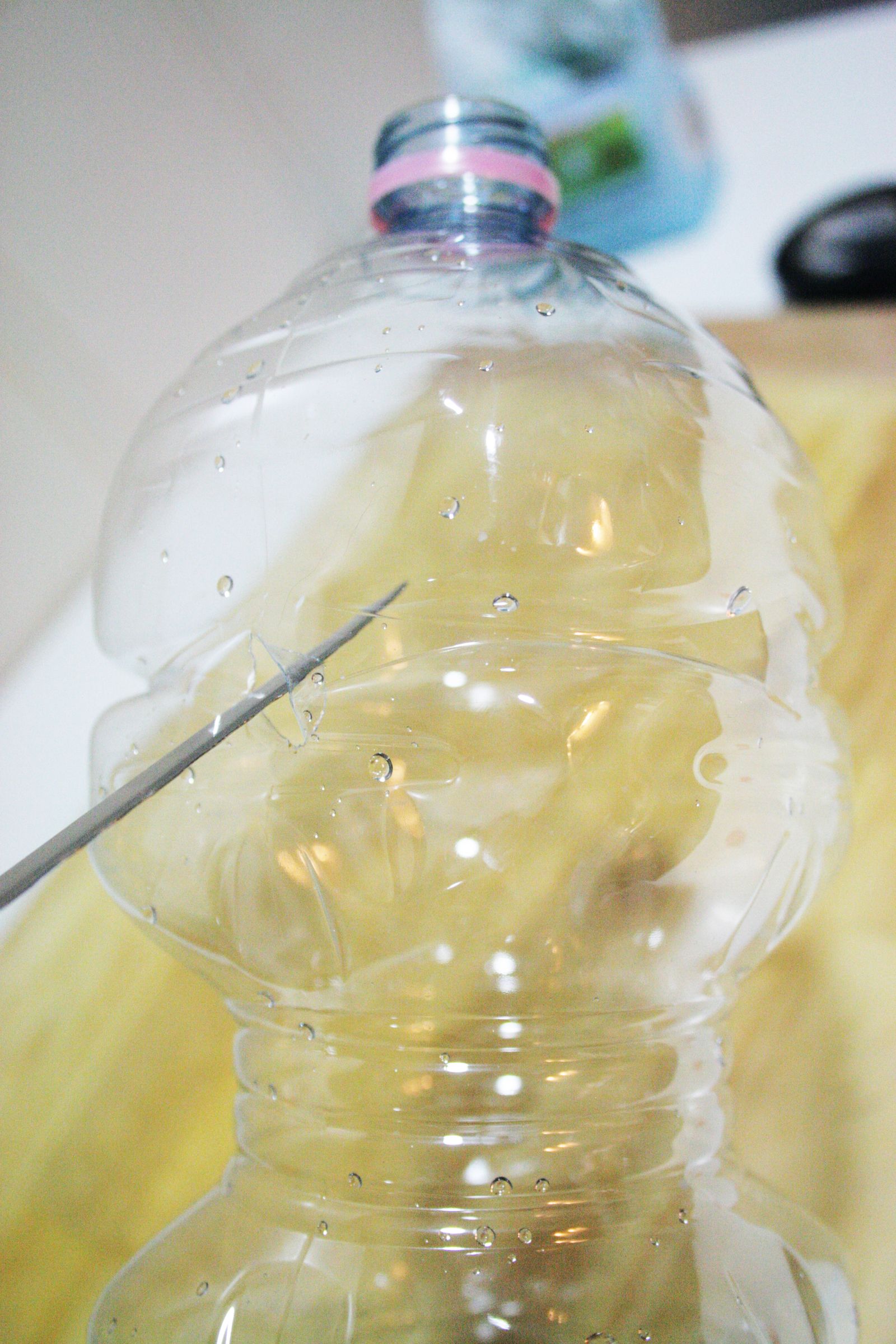 Plastic Bottle Mosquito Trap : 5 Steps (with Pictures) - Instructables