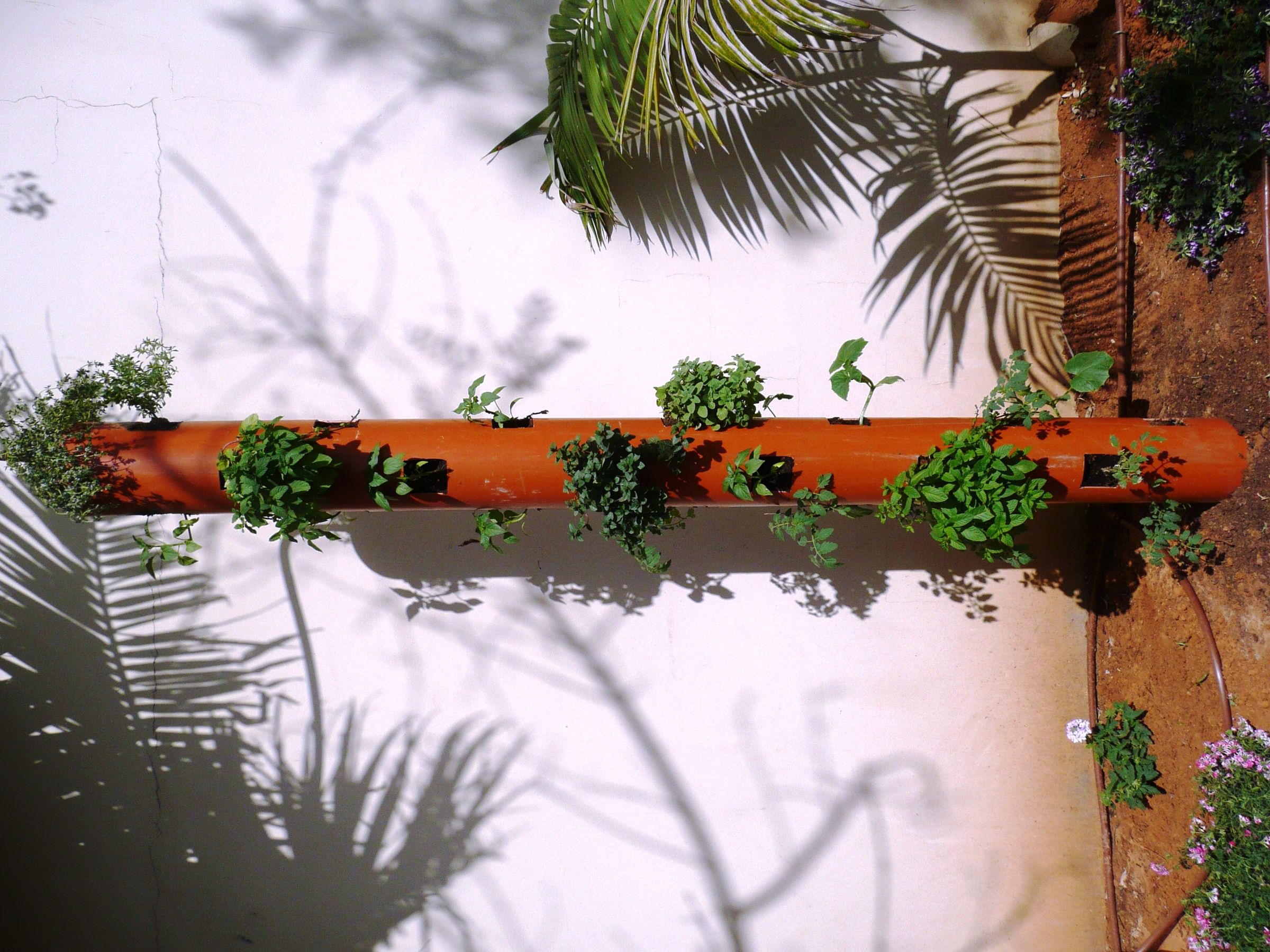 DIY Organic Vertical Planter : 7 Steps (with Pictures) - Instructables