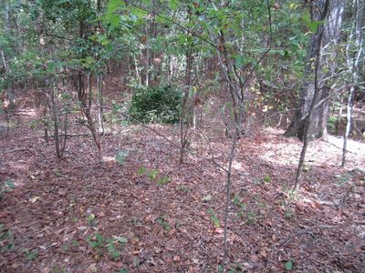 Building a Natural Ground Blind : 7 Steps - Instructables