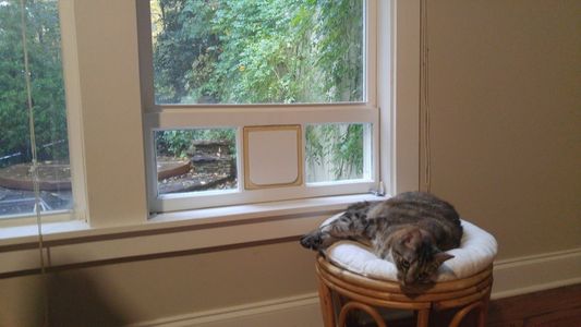 Pet Door Window Insert From XPS Foam and Double-Pane Glass : 8 Steps ...