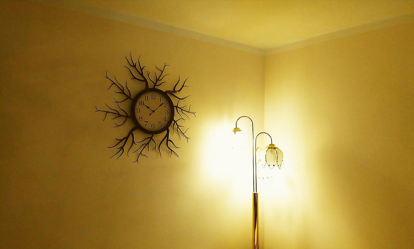 Organic Root Clock : 7 Steps (with Pictures) - Instructables