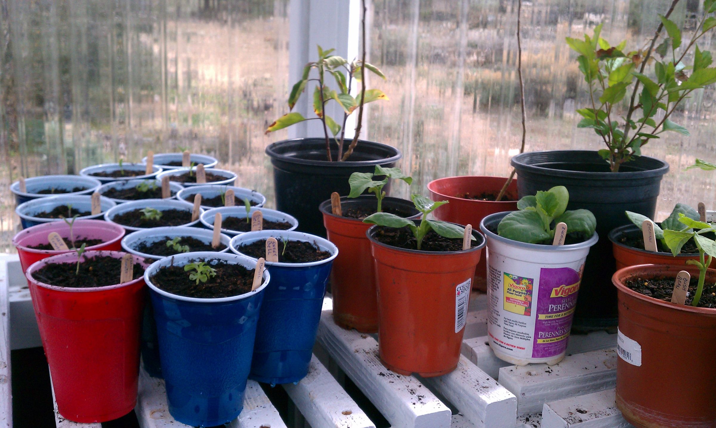 Octagonal Greenhouse : 15 Steps (with Pictures) - Instructables
