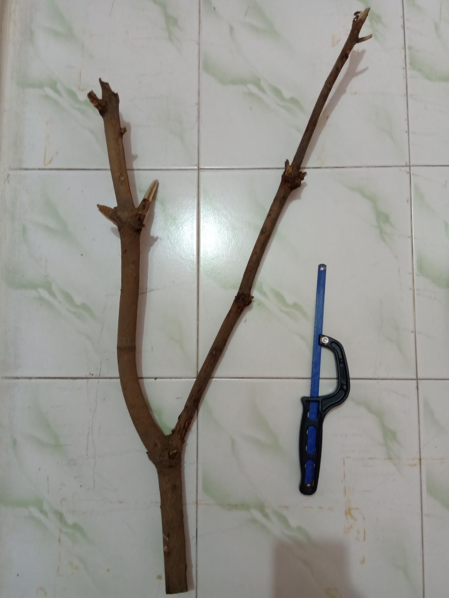 Wood & Yarn (Full & Partial Branch Weaving, Tiny Birds) - Home Decor ...