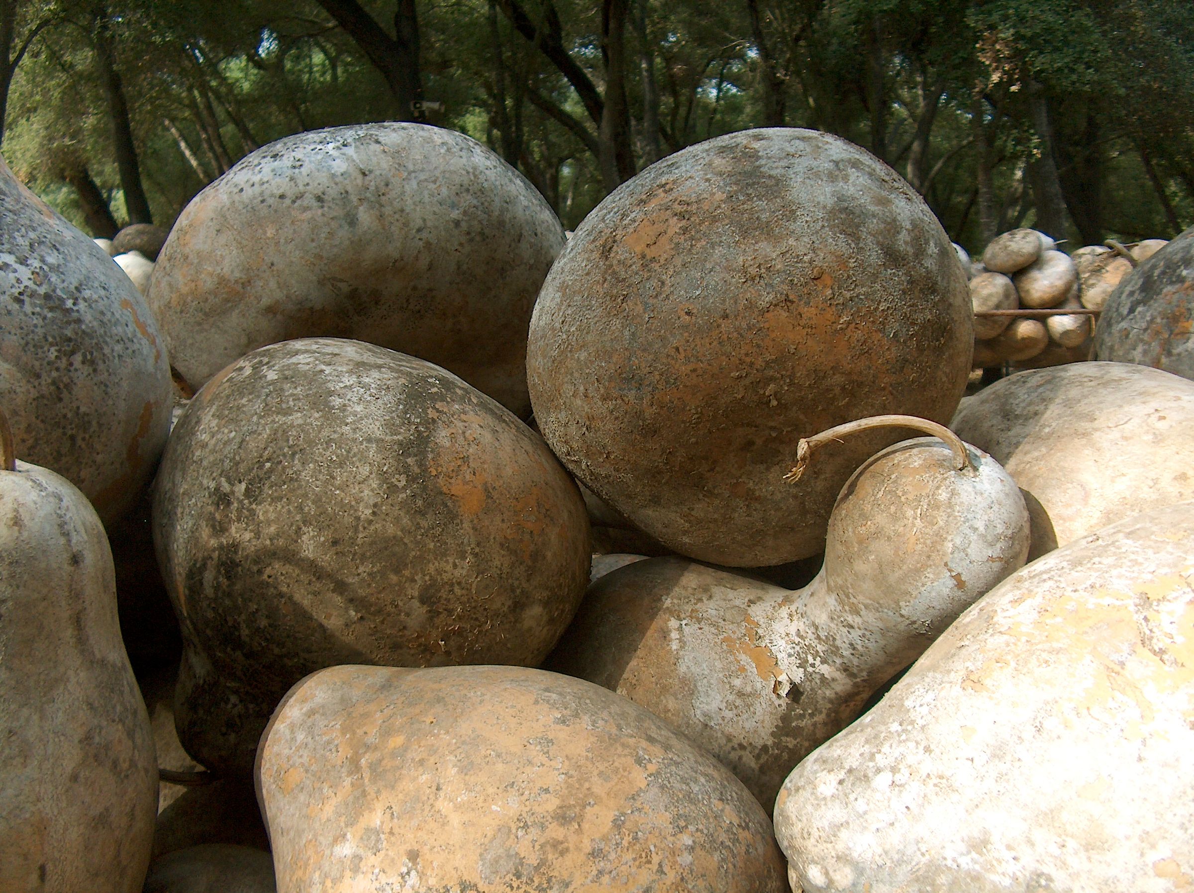 How to Clean a Hardshell Gourd : 3 Steps (with Pictures) - Instructables