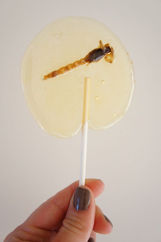 Scorpion Tequila Lollipops (with Pictures) - Instructables