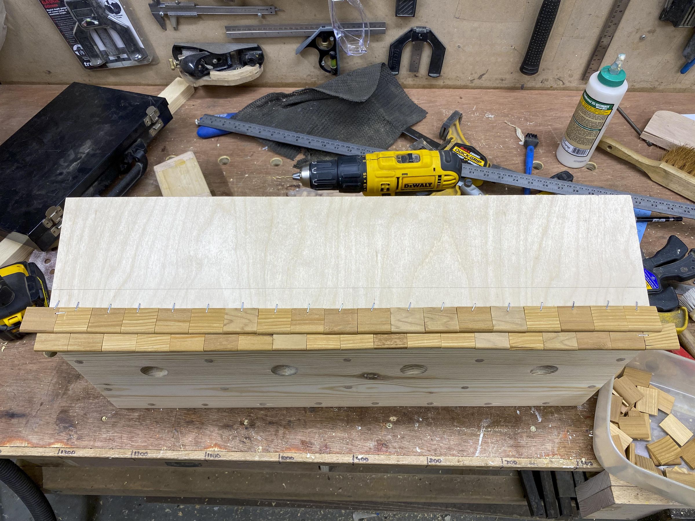 🐦 House Sparrow 🐦 Bird Box Terrace 🐦 : 11 Steps (with Pictures ...