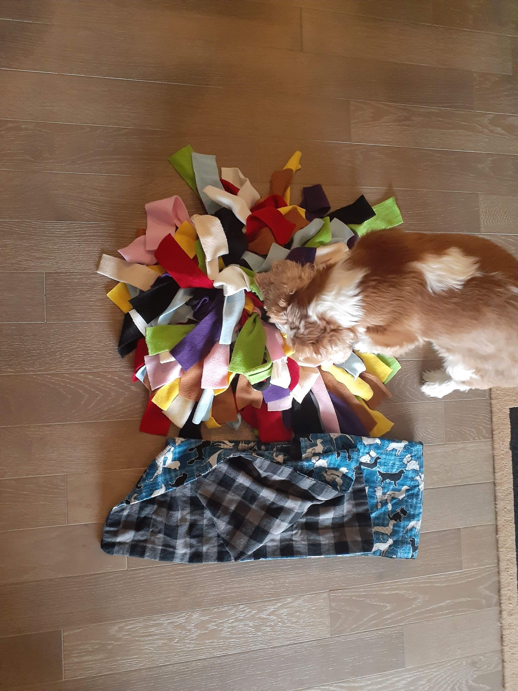 How to Make Your Pet a Durable Snuffle Mat : 4 Steps (with Pictures ...
