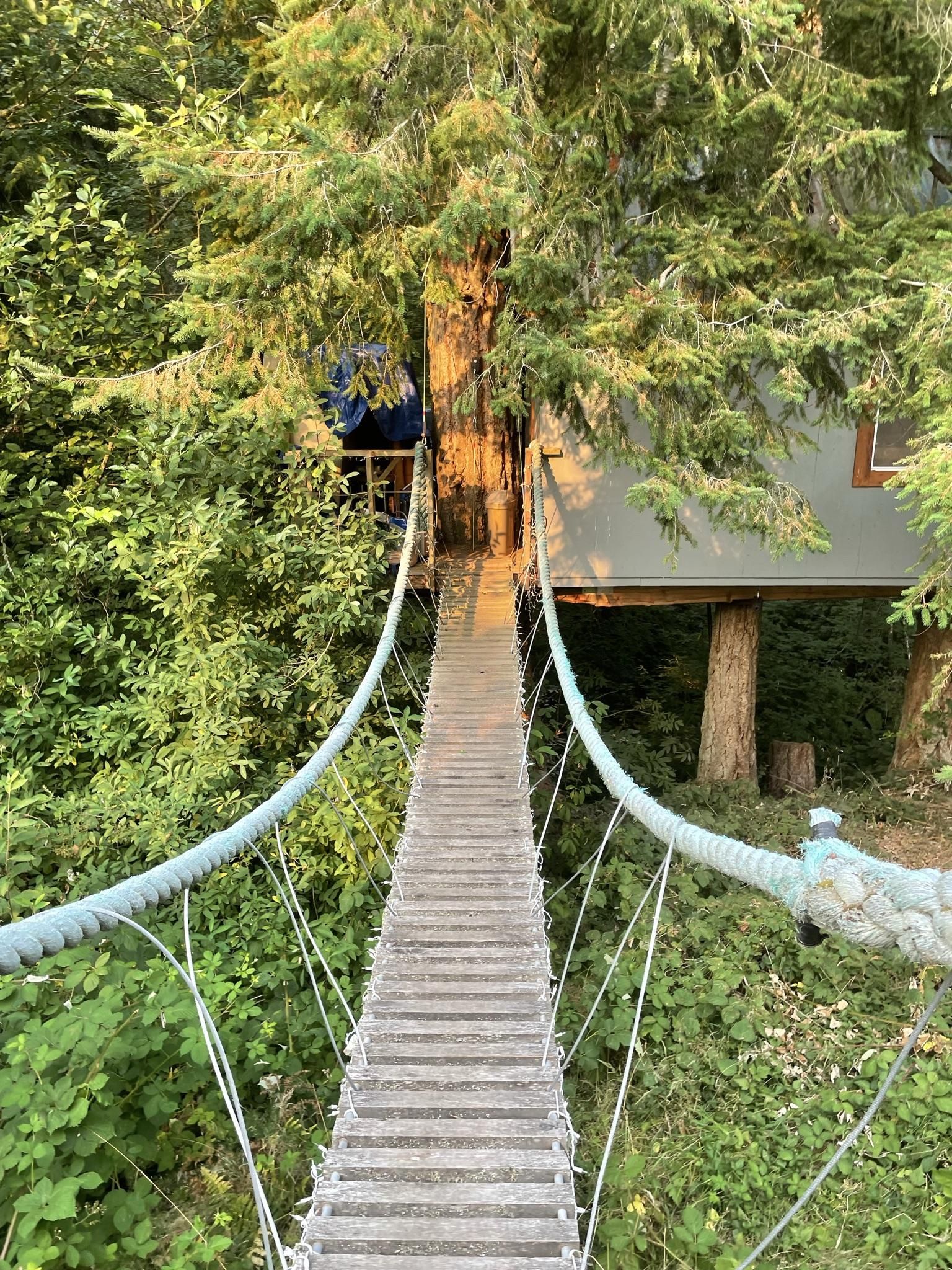 Treehouse Build : 10 Steps (with Pictures) - Instructables