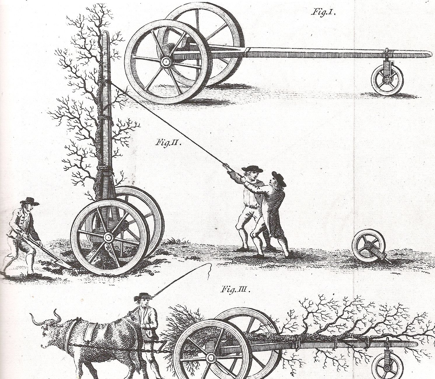 Transplant a Tree With a Giant Two Wheel Dolly : 10 Steps (with ...