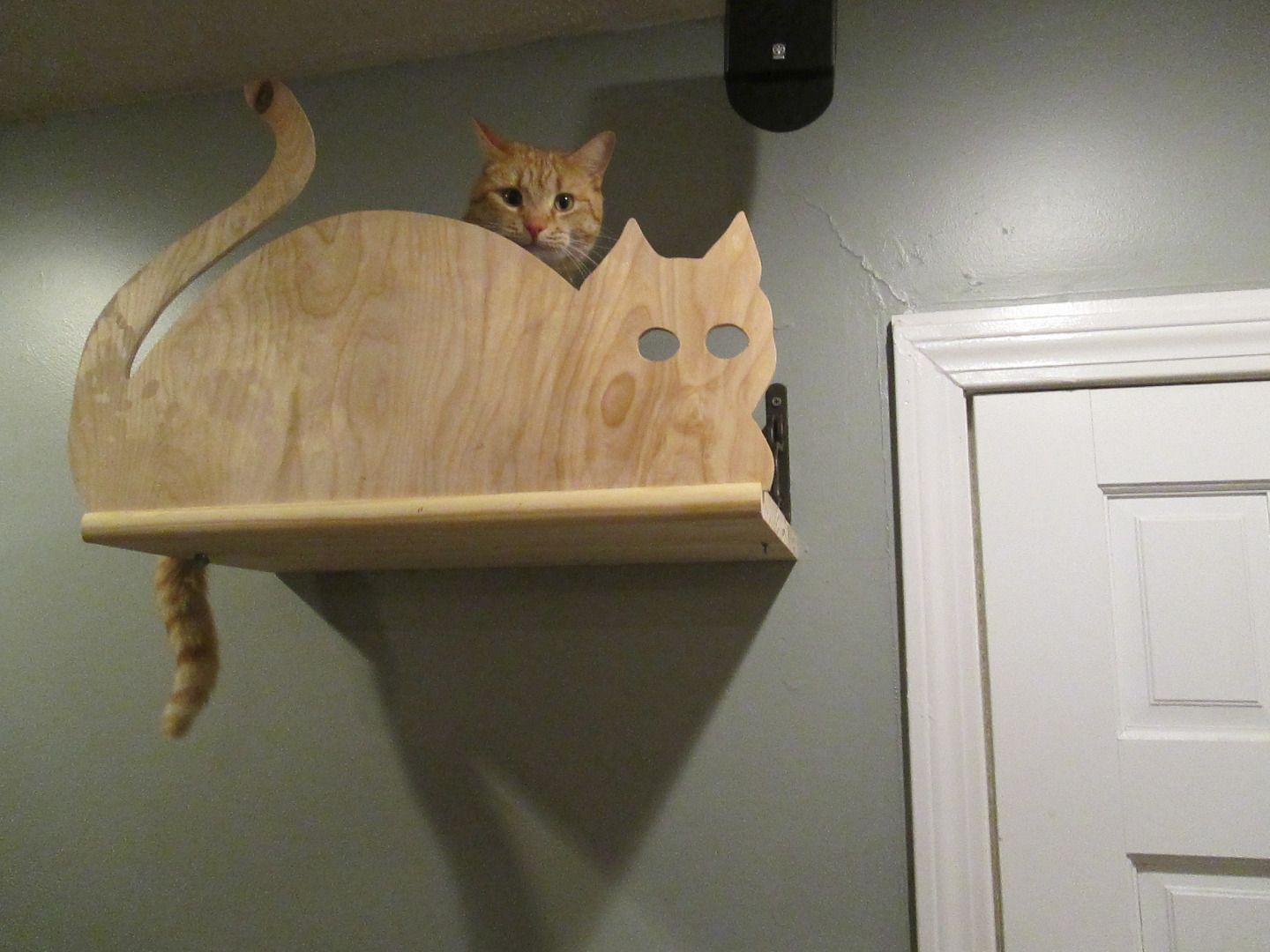 Cat Adventure and Escape Wall : 12 Steps (with Pictures) - Instructables