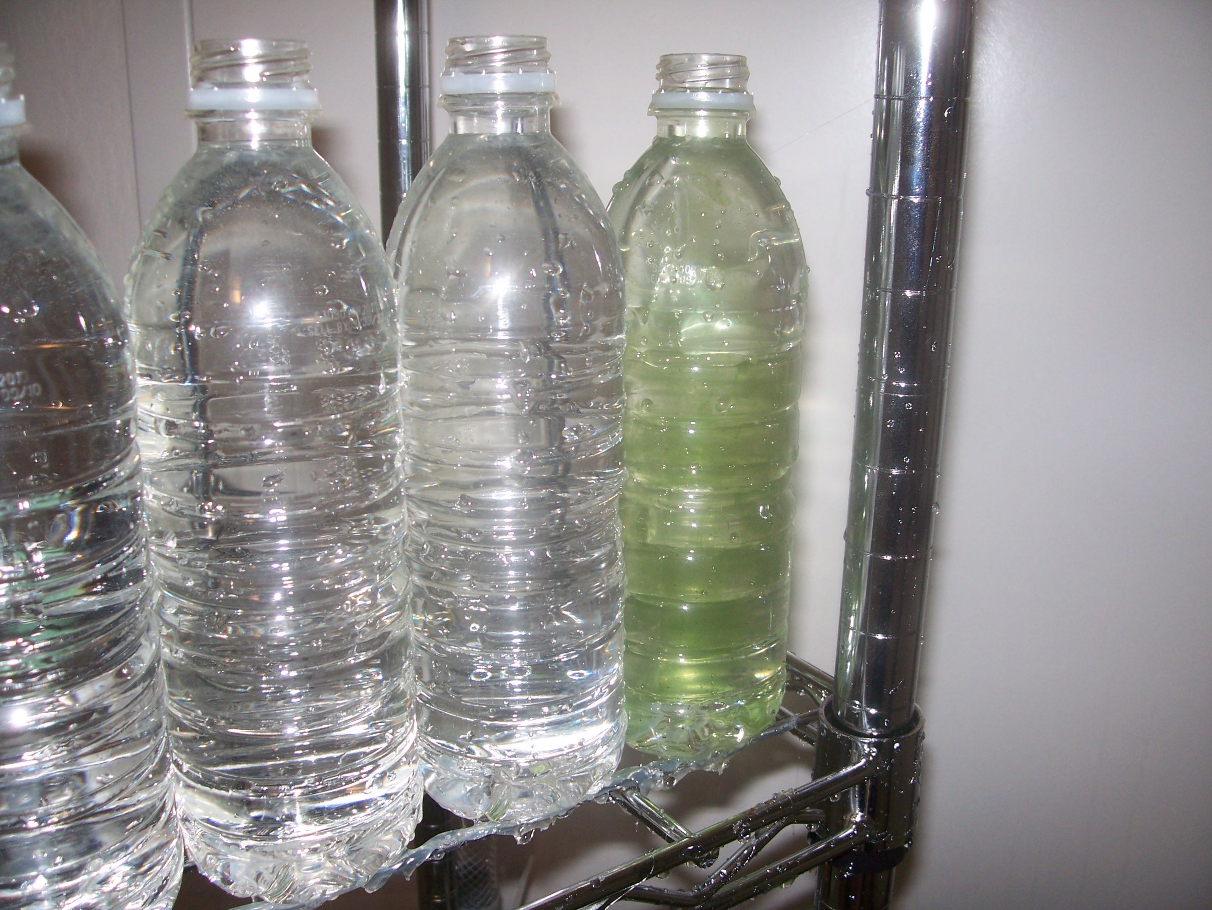 An Algae Bioreactor From Recycled Water Bottles : 7 Steps (with ...