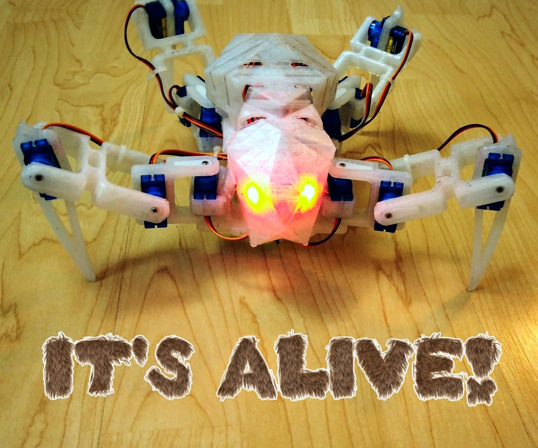 [DIY] Spider Robot(Quad Robot, Quadruped) : 14 Steps (with Pictures ...