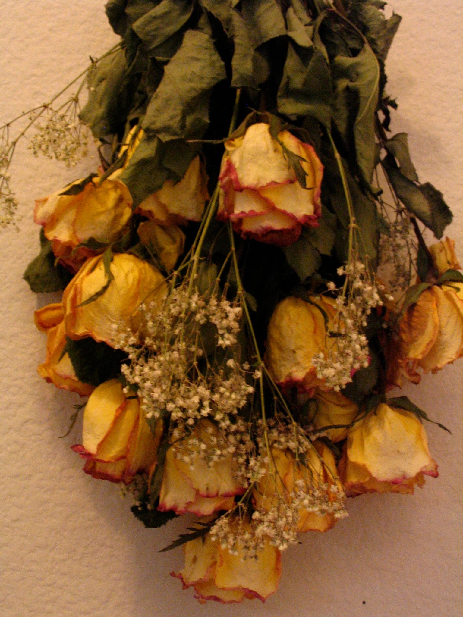 Dried Roses the Easy Way : 4 Steps (with Pictures) - Instructables