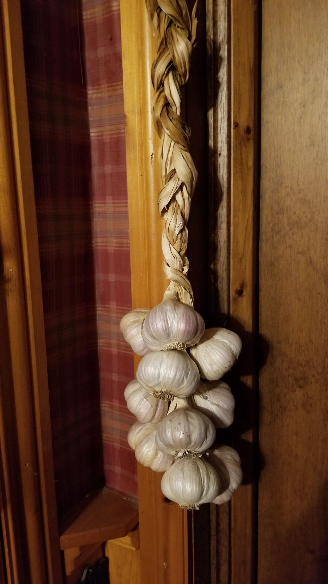 Garlic Gardening : 49 Steps (with Pictures) - Instructables