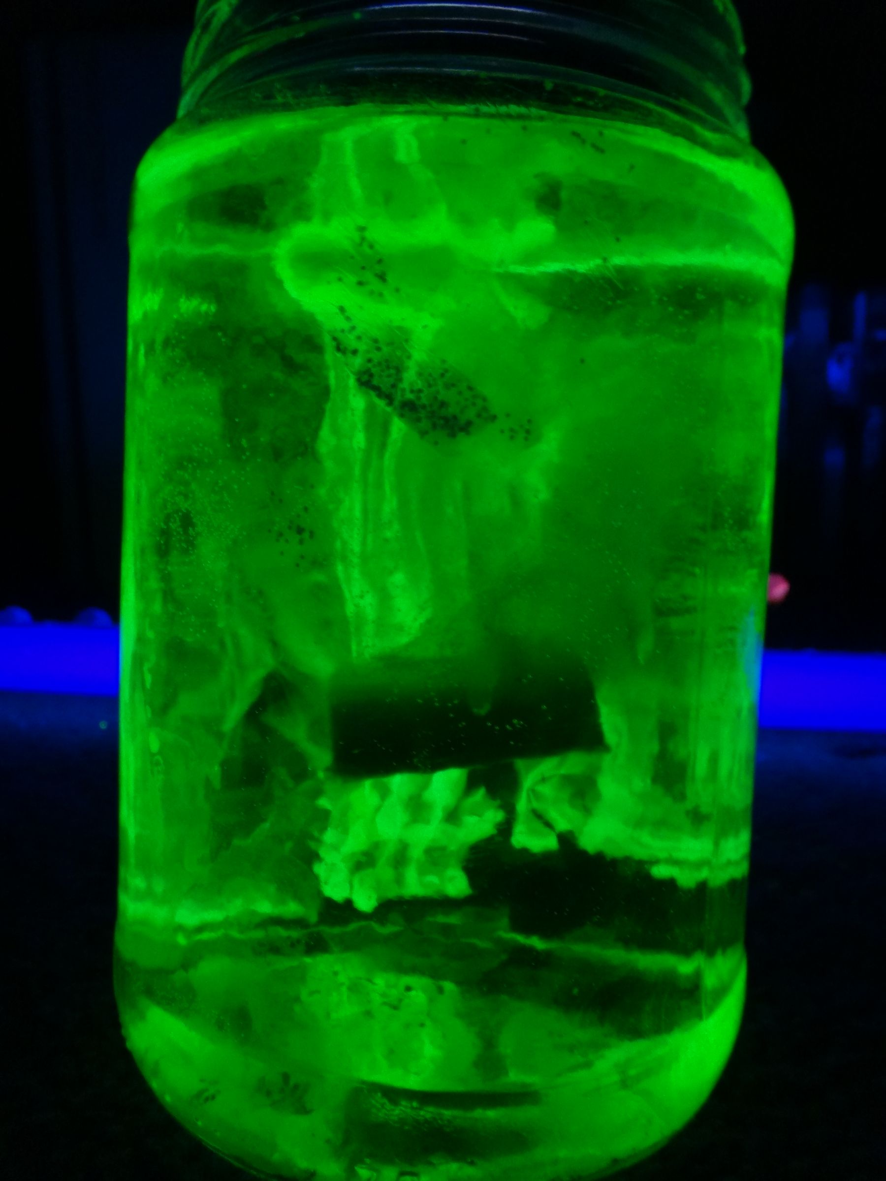 How to Make a Glowing Black Light Night Light : 4 Steps - Instructables