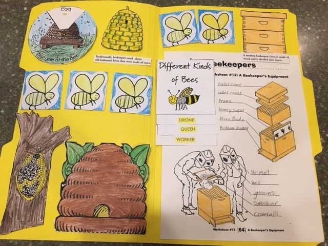 How to Build an Observation Bee Hive : 20 Steps (with Pictures ...