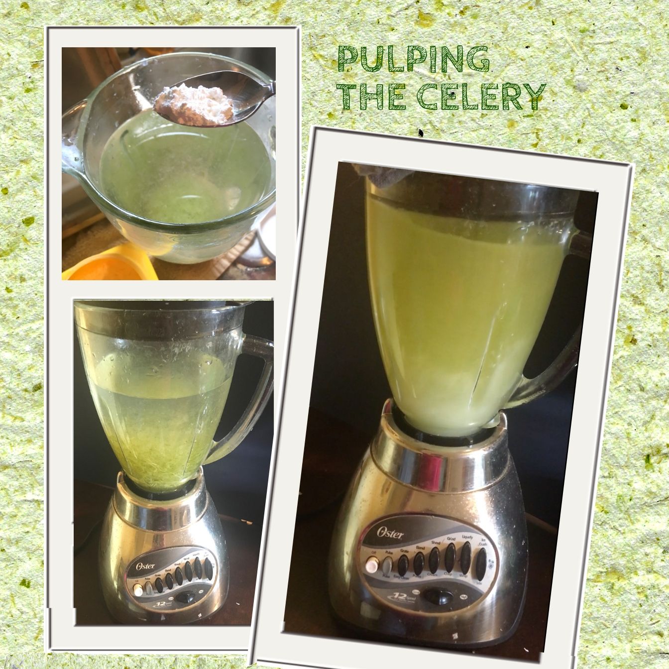 Super-Green Celery Paper! : 5 Steps (with Pictures) - Instructables