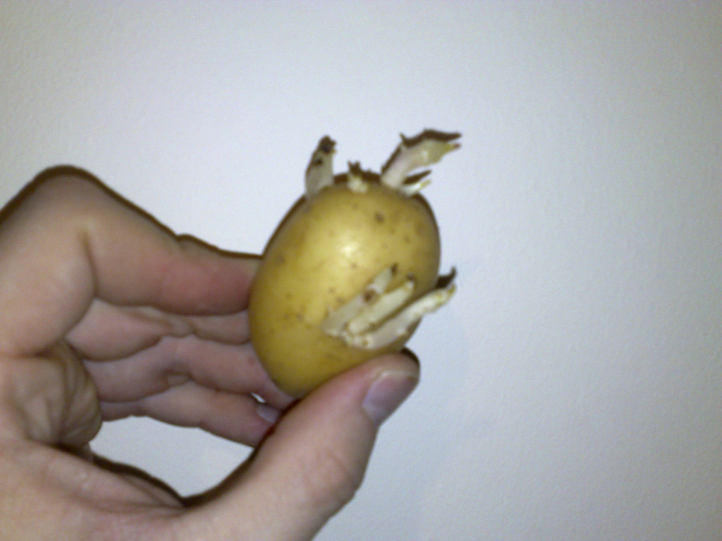 Potato Chitting : 4 Steps - Instructables